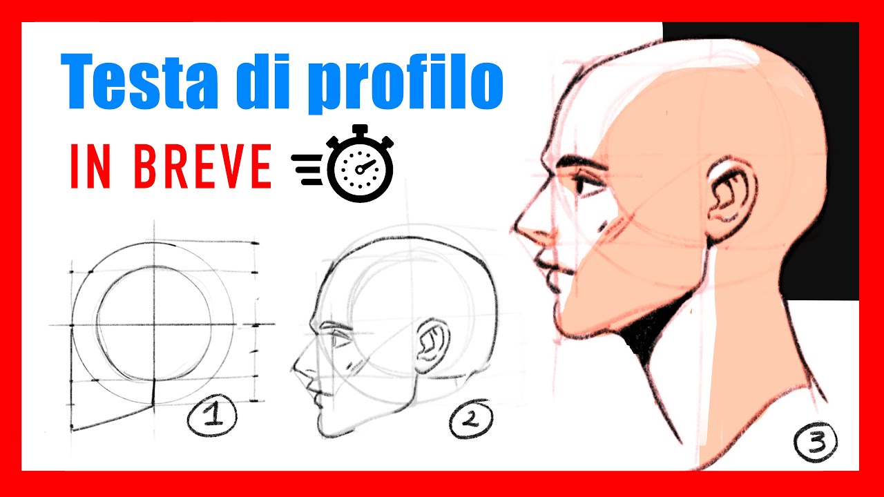 Disegno Del Profilo Della Testa