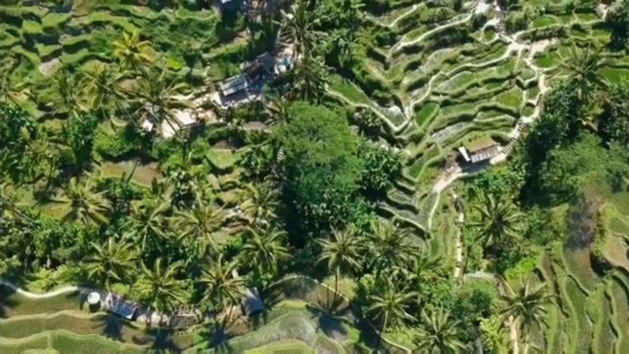 POURING OUTSIDE - YouTube