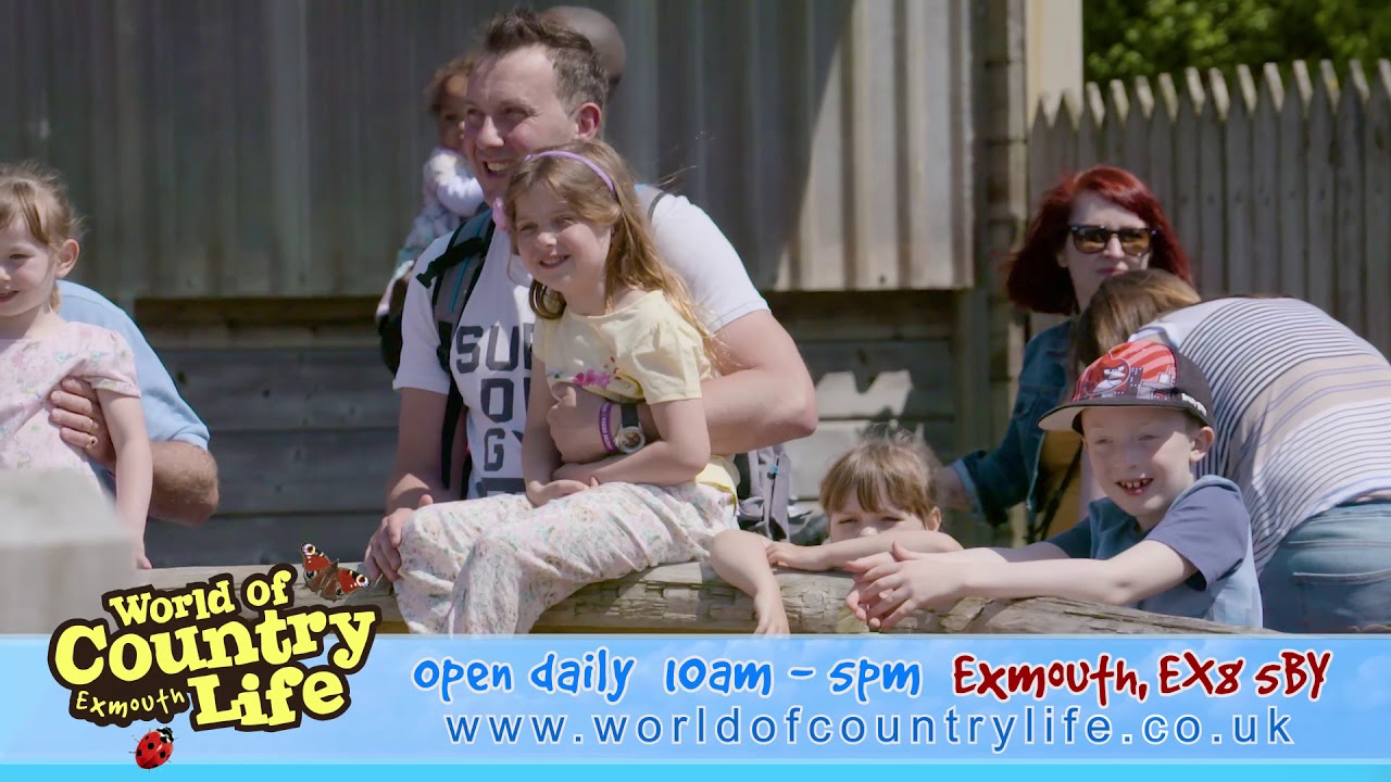 Family Days Out at World of Country Life, Exmouth, Devon - YouTube