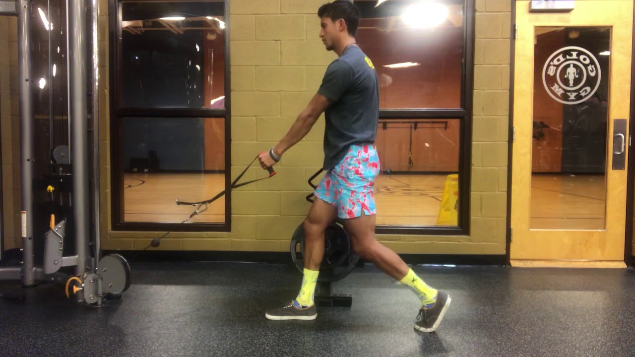 Split Squat w/ Cables - YouTube