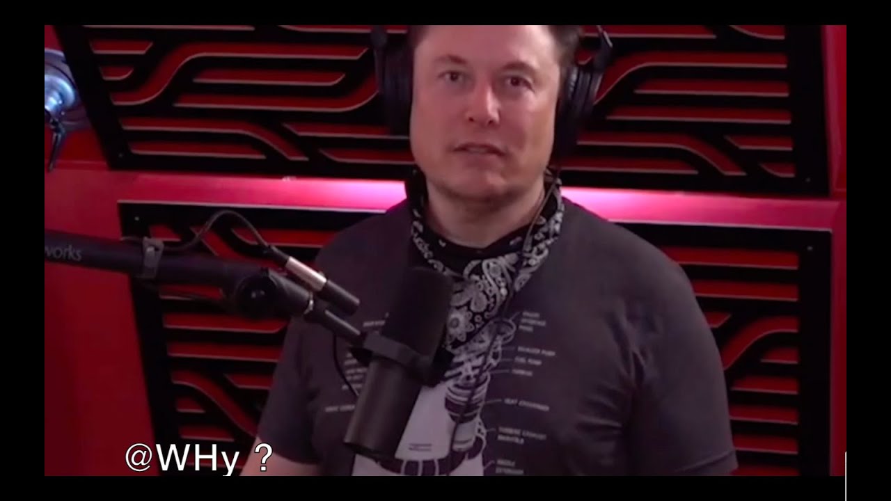 Elon Musk gets tired of Joe Rogans space ship... - YouTube