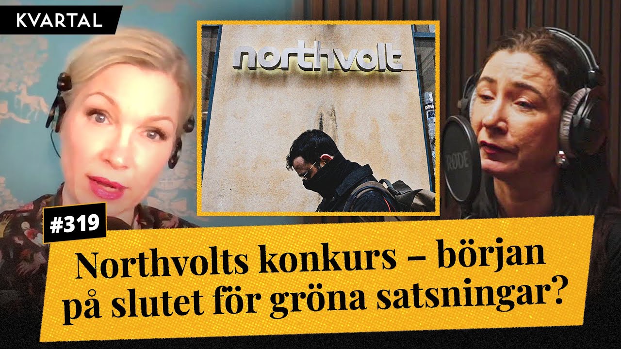 Anna-Karin Wyndhamn: “Politisk och finansiell skandal“ | Veckopanelen 319 - YouTube