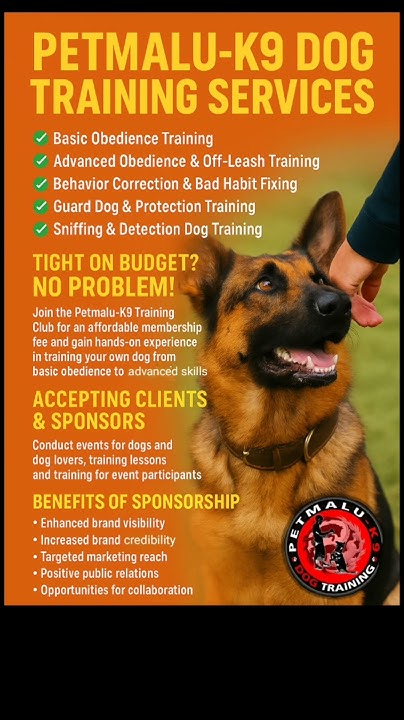 PETMALU-K9 DOG TRAINING SERVICESTrain smart. Build trust. Raise a well-mannered dog! - YouTube