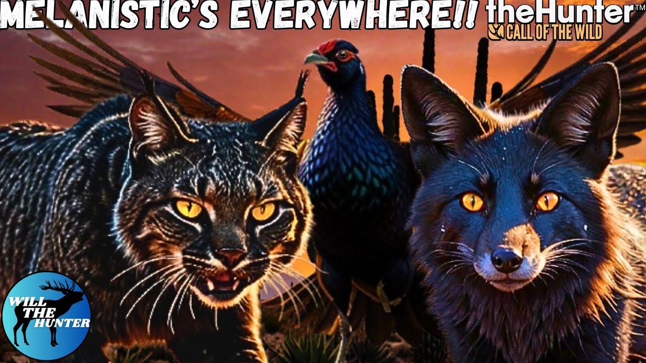 Hunting Three Very Rare Melanistic Trophies (Red Fox, Bobcat & Pheasant ...
