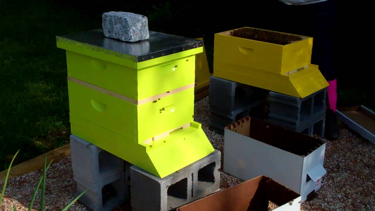 First time installing bee nucs - YouTube