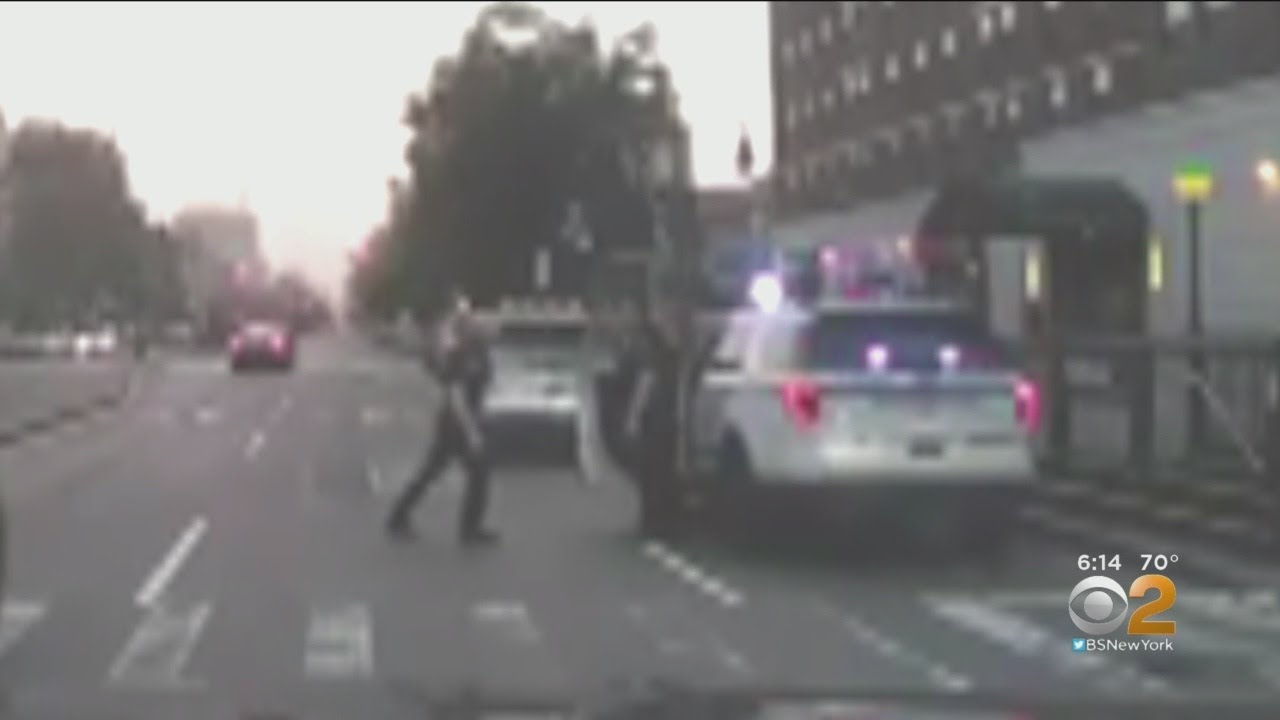 Fight Between NYPD Officers Caught On Cam - YouTube