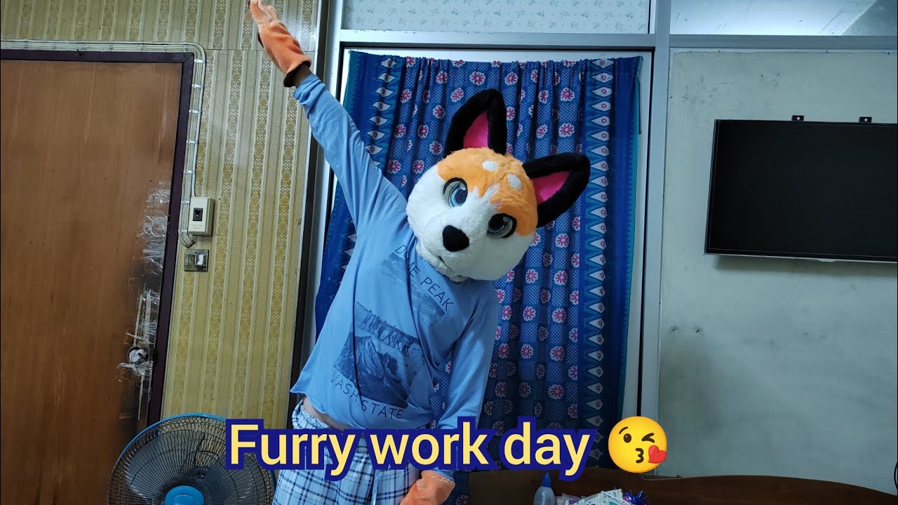 Furry work day 😁 - YouTube