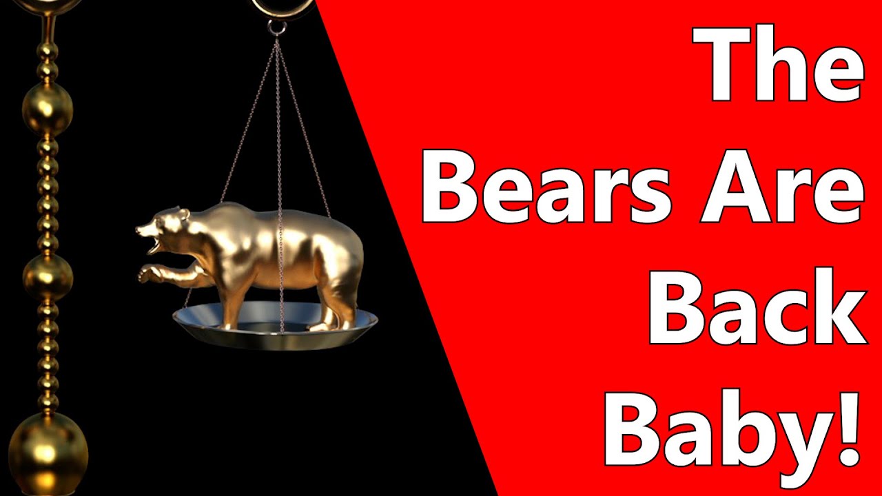 The Bears Are Back Baby! - YouTube