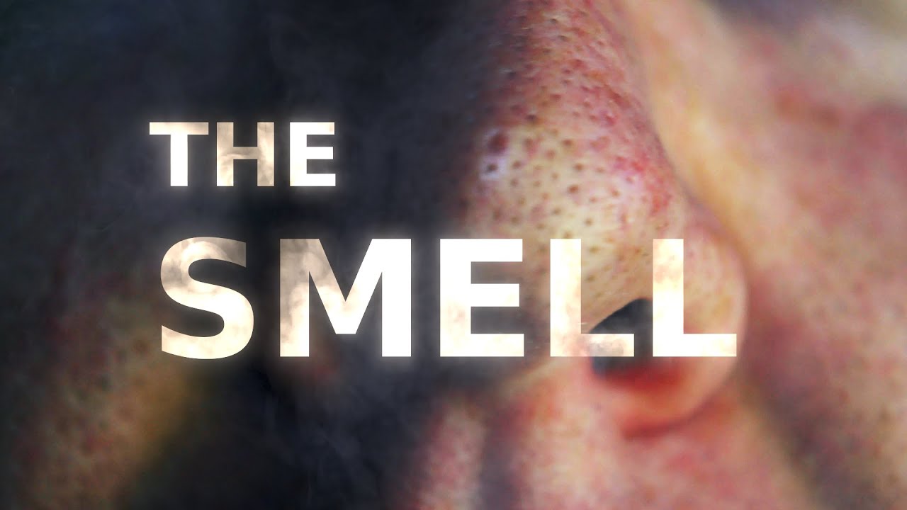 The Smell (Scream It Off Screen Remaster) - YouTube