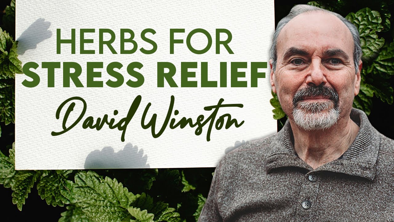 Great Herbs for Stress Relief Tea | David Winston - YouTube