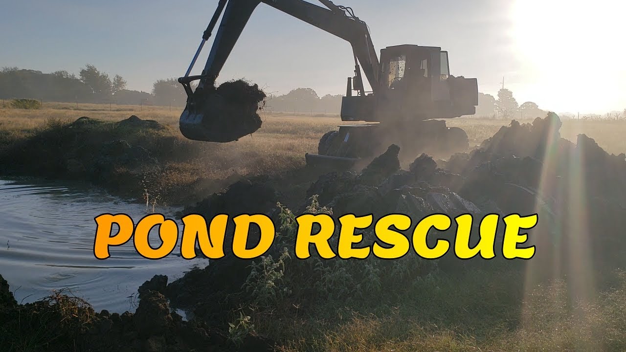 HOW PONDS FILL UP and Dry Up- Some ADVICE how to MAINTAIN THEM - YouTube