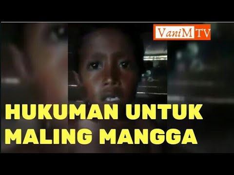 Ngerii..!!! Resiko maling mangga di +62 - YouTube