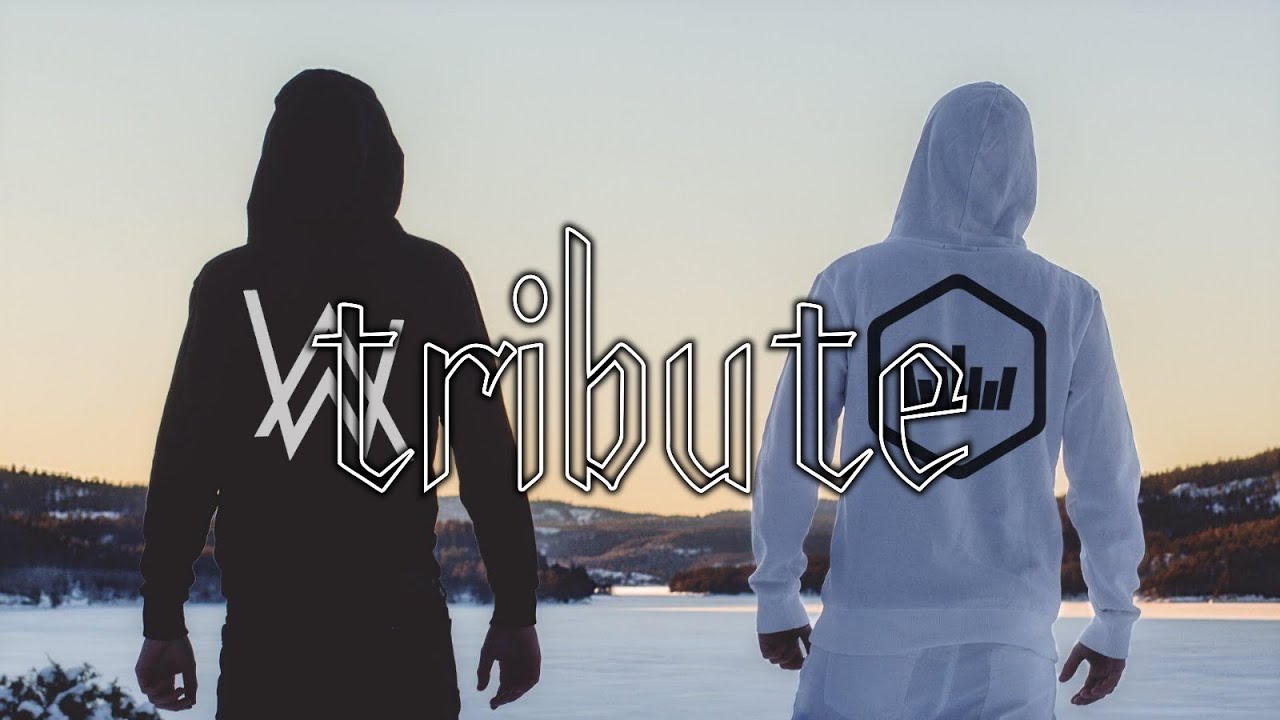 Tribute Alan Walker - Hope (Beautiful Music) [MusicNoCopyright] - YouTube
