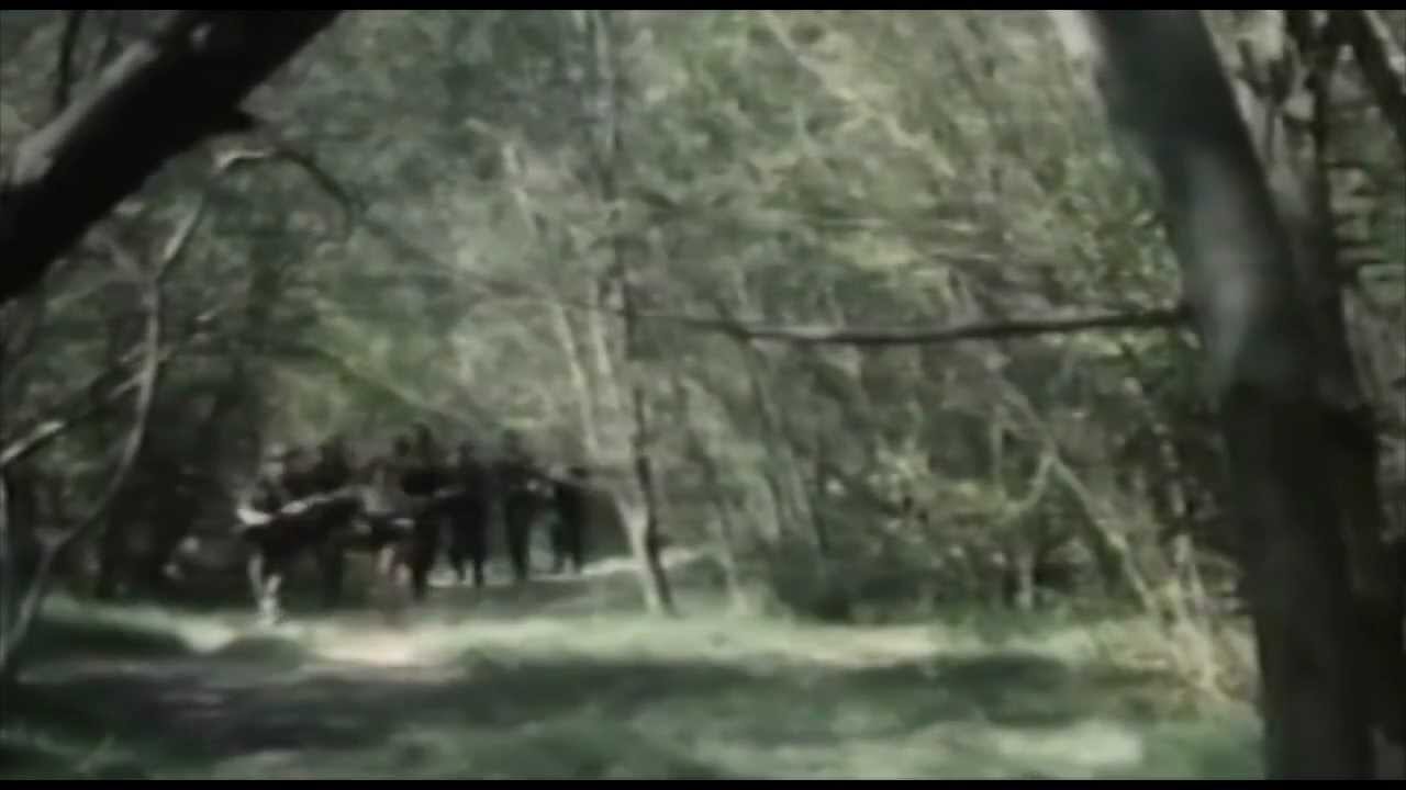 Deadly Prey Meets Predator - YouTube