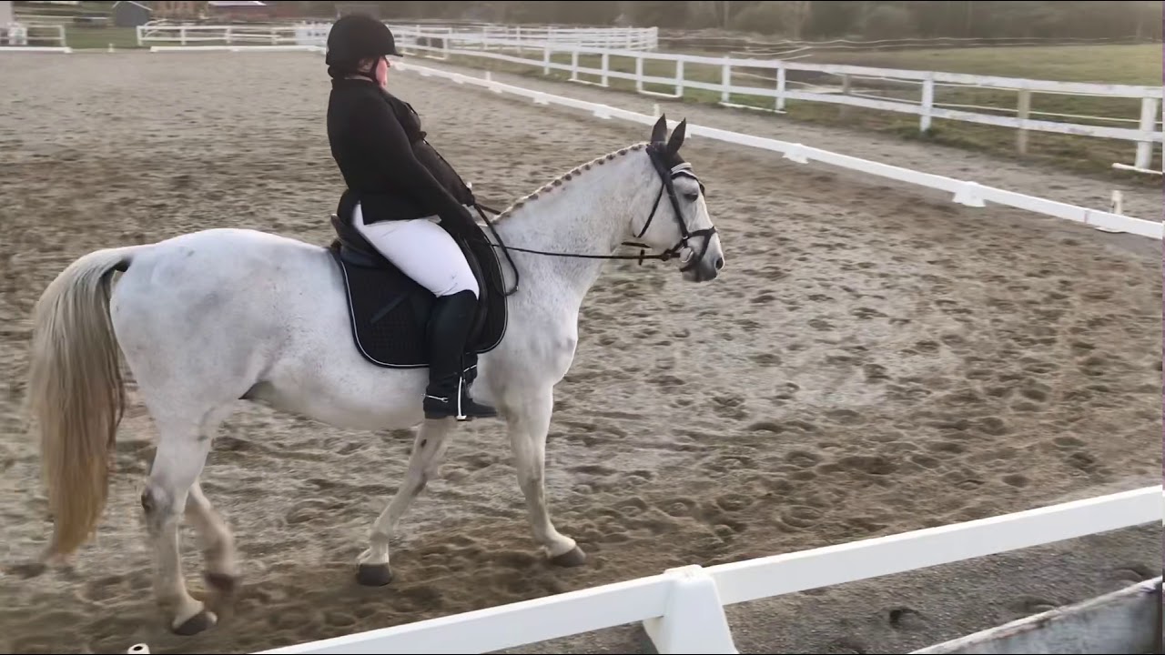 Christy Lemoine and Caesar Augustus - Training 1 - YouTube