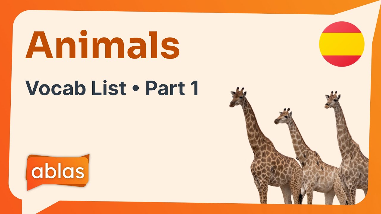 Animals | Spanish Vocabulary List (Part 1) - YouTube