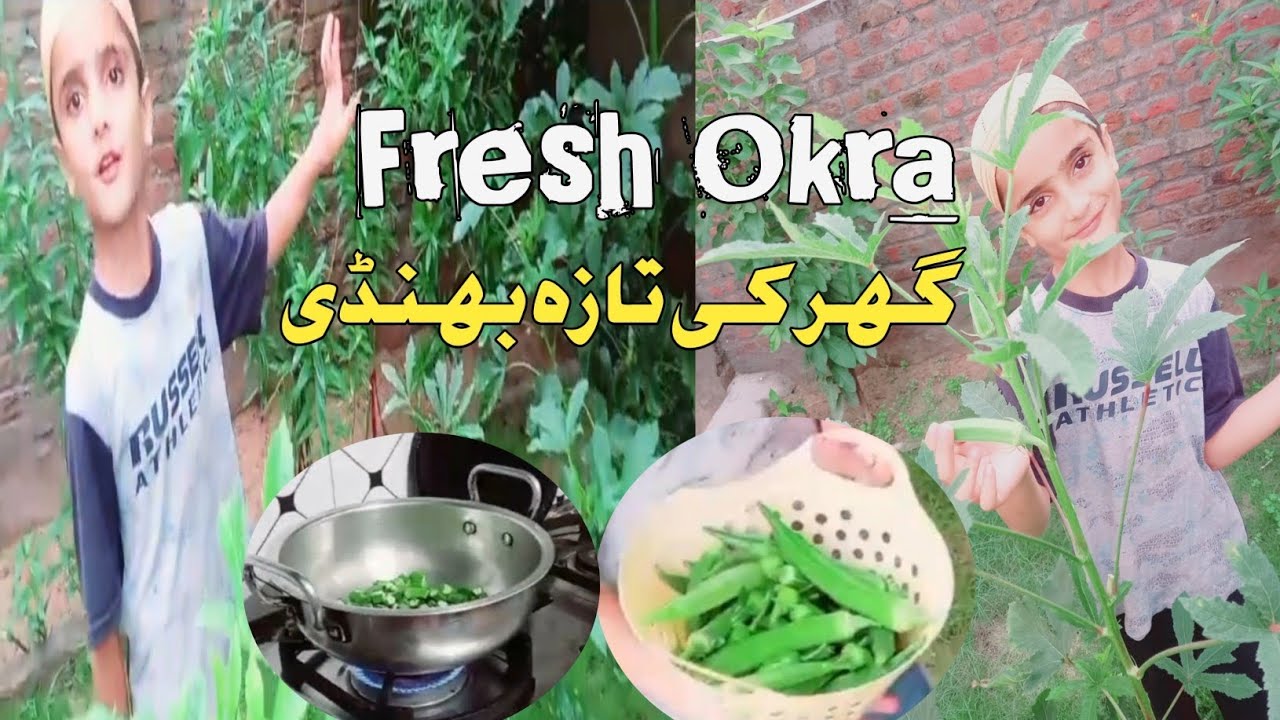 Fresh Okra Recipe/Bhindi Recipe/Bhindi pakany ka trika/بھنڈی بنانے کا ...