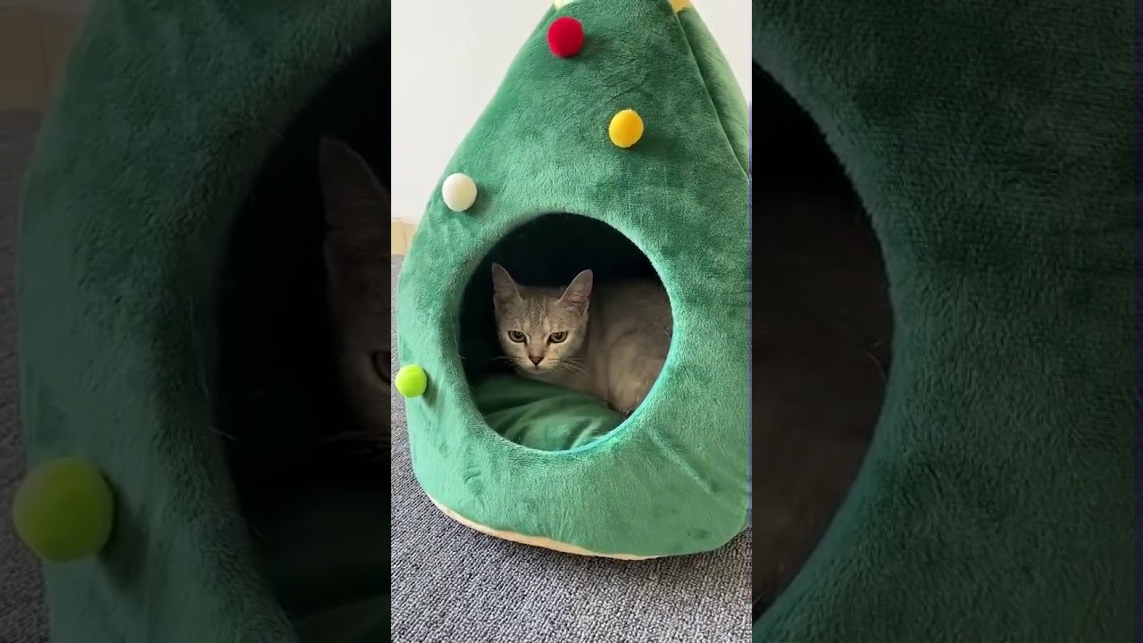 Christmas Tree Cat House Bed - YouTube