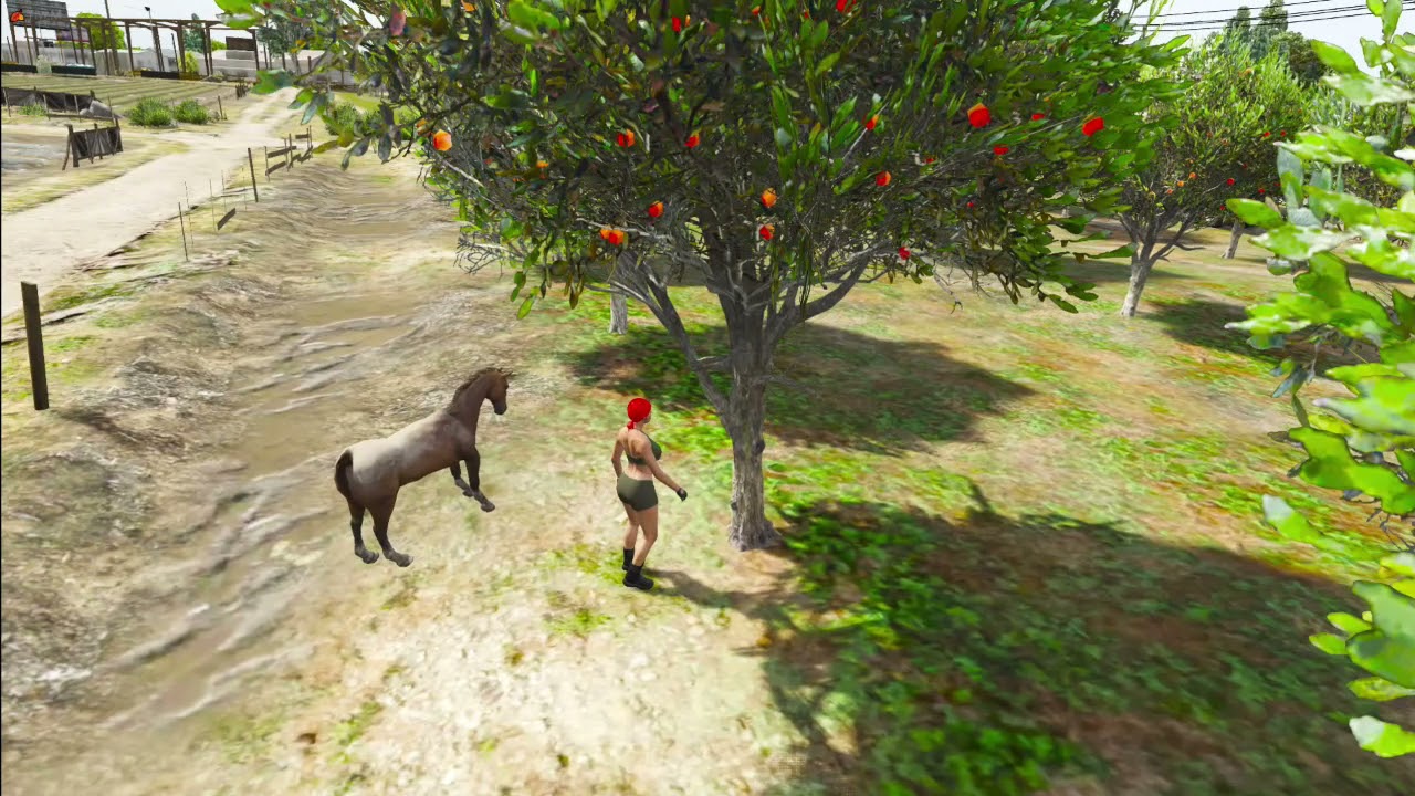 GTA V RP MODs ( Fivem ): Of couse we ride horses. - YouTube