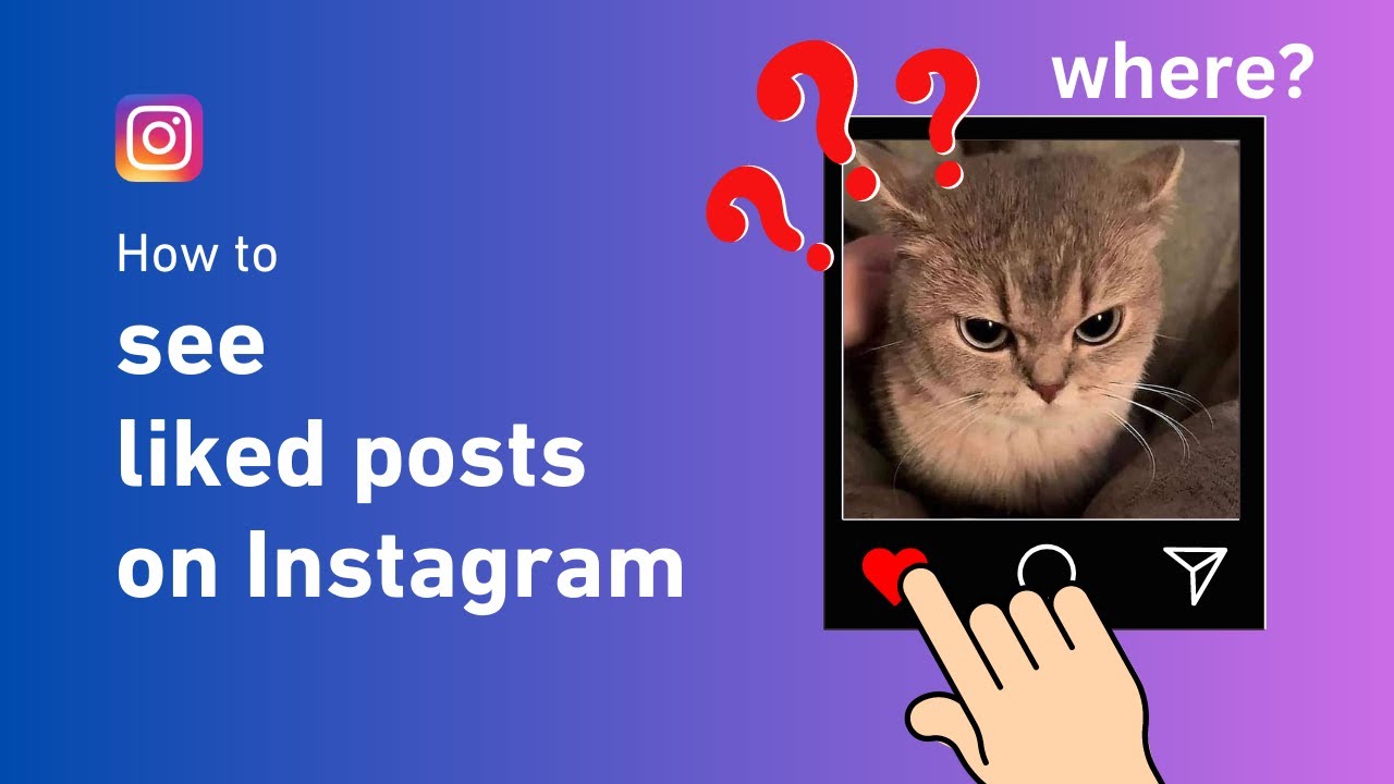 How To See Liked Posts On Instagram 2023 YouTube how-to-see-liked-posts-on-instagram-2023-youtube