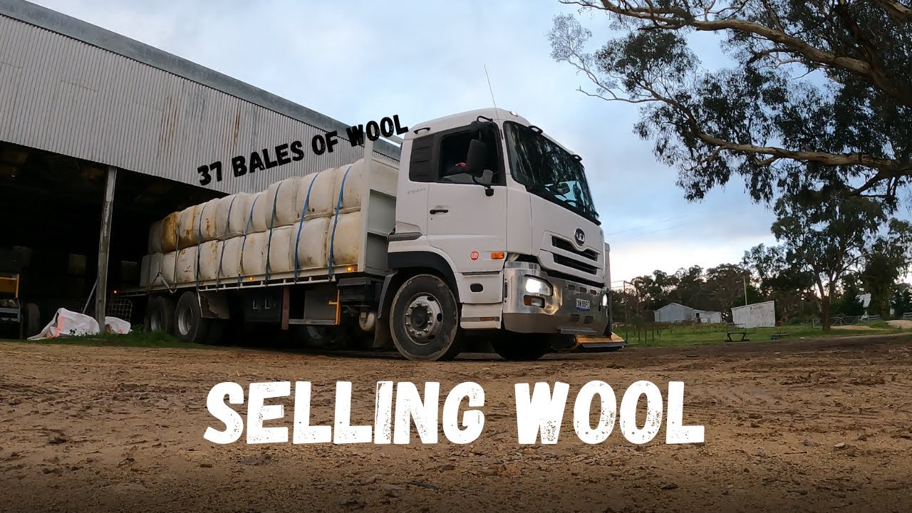 Wool goes Walkabout | Selling Wool | Australian Sheep Farming - YouTube