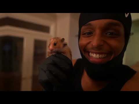 agent 00 amp edit - YouTube