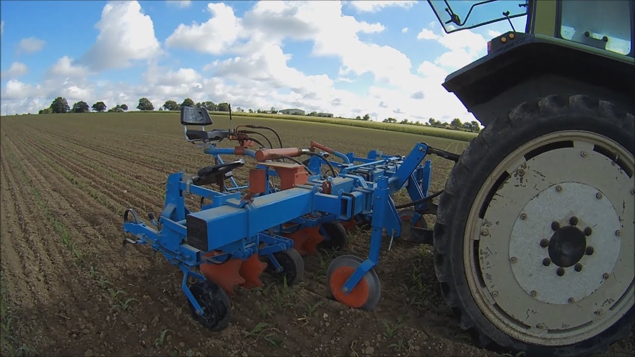 Bineuse Monosem avec guidage hydraulique - YouTube