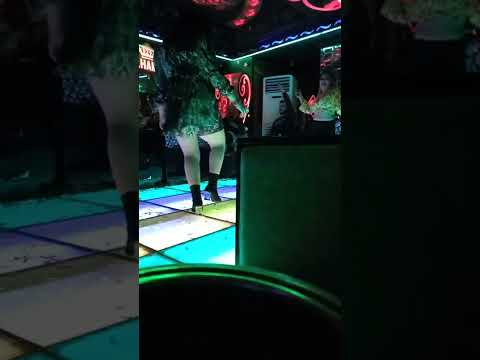 papatya Ankara elhamra Sow pavyon
