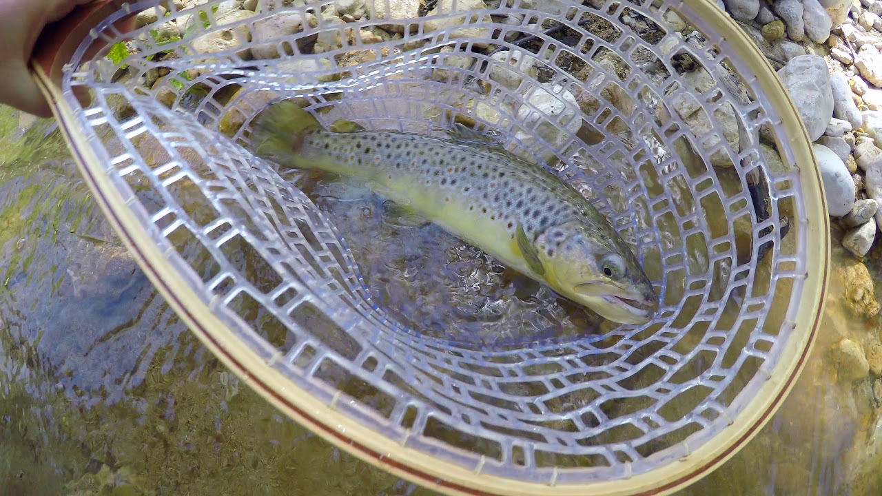Pesca a mosca secca - Torrente appenninico in caccia - YouTube