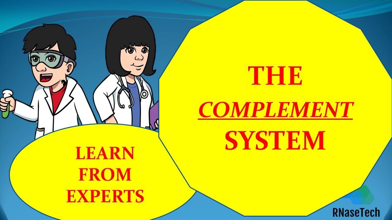 Complement system video animation || how complement system works - YouTube