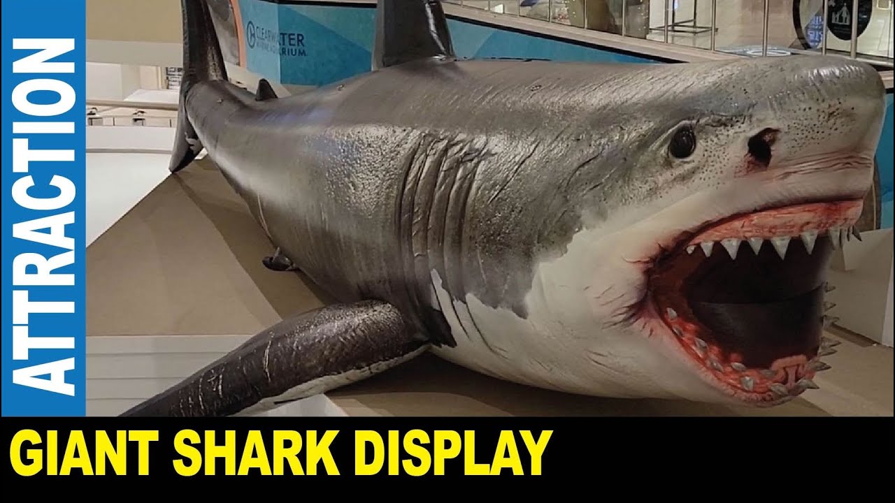 A giant shark display at a shopping mall entertainment decoration ...