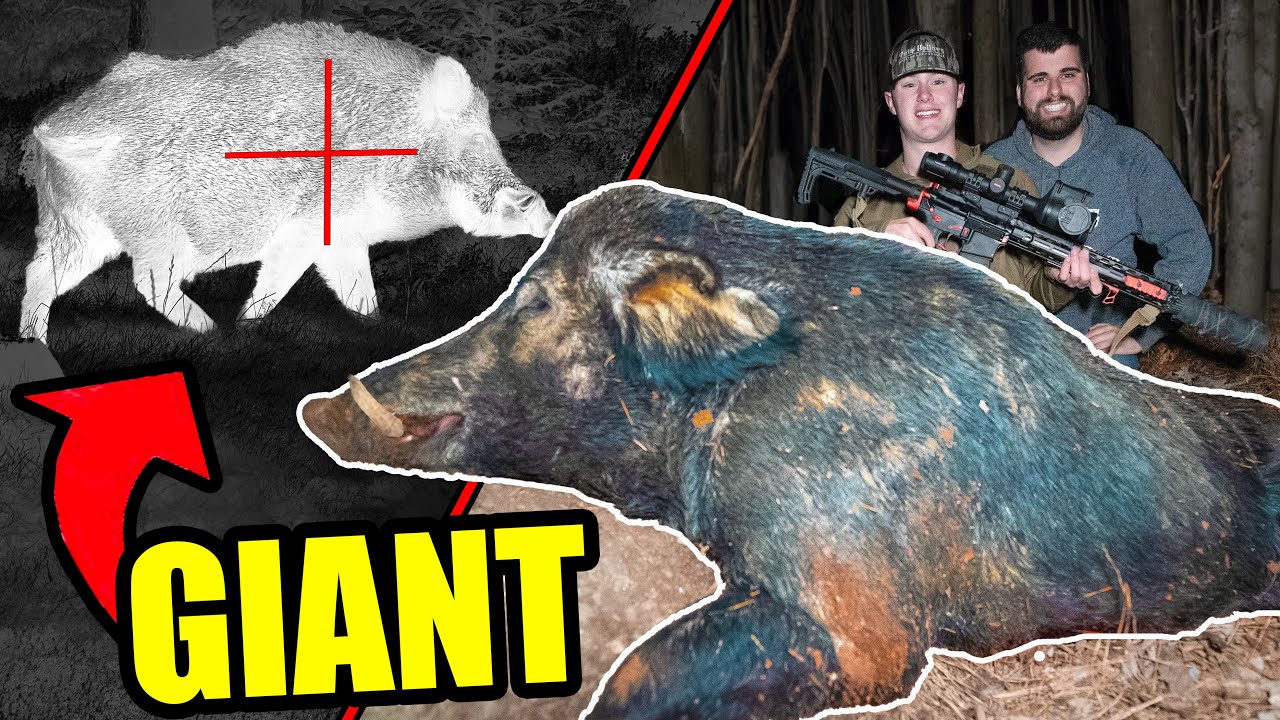 The Hunt For HOGZILLA | Ft. Tanner Stay - YouTube