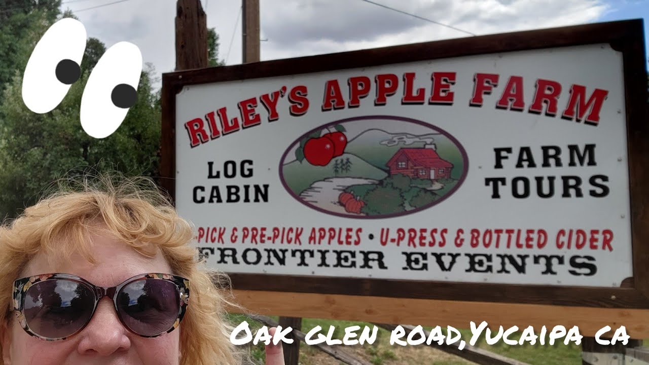 Apple picking, Riley's apple Farm Oak Glen road, Yucaipa Ca - YouTube