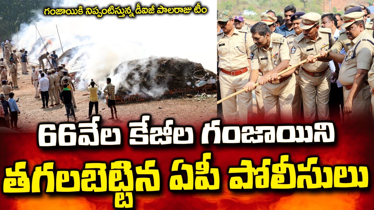 DIG Pala Raju ips Team Destroyed 66k Kgs of Seized Ganja ...