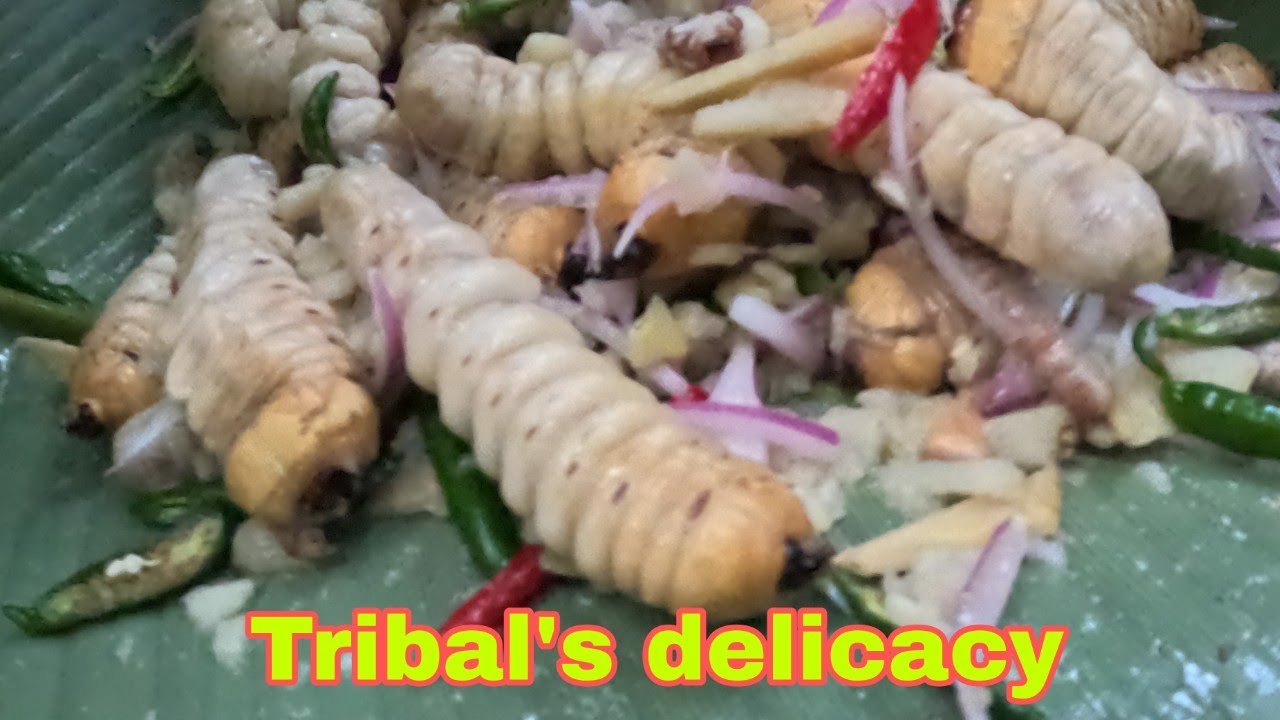 How to cook wooden larva 🐛🐛🐛/Arunachal Pradesh/north east India. - YouTube