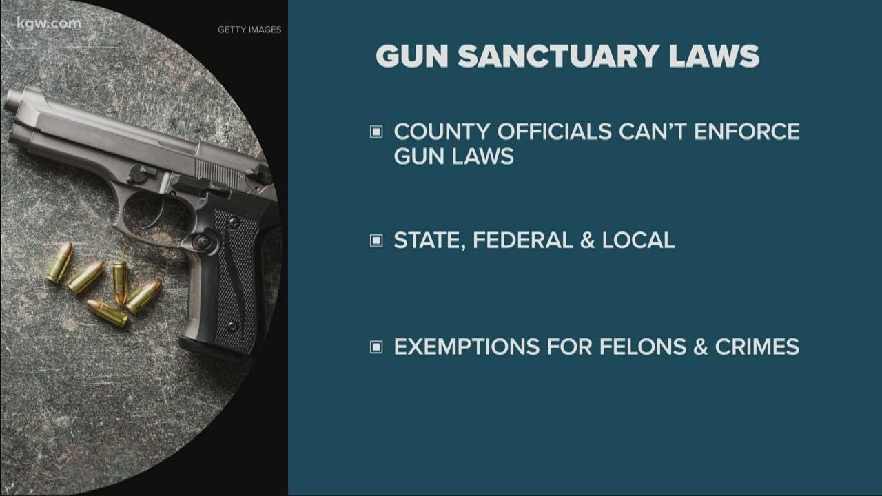 What is a second amendment sanctuary ordinance? - YouTube