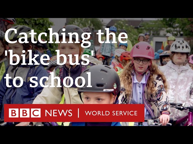 Taking The Bike Bus To School genera…: English ESL video lessons