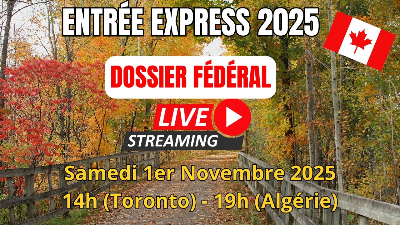 Quels documents tétéverser? Dossier fédéral après l’invitation (Entrée ...