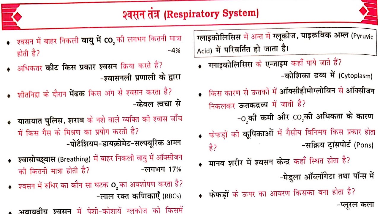Ncert science biology respiratory system | respiratory system ...