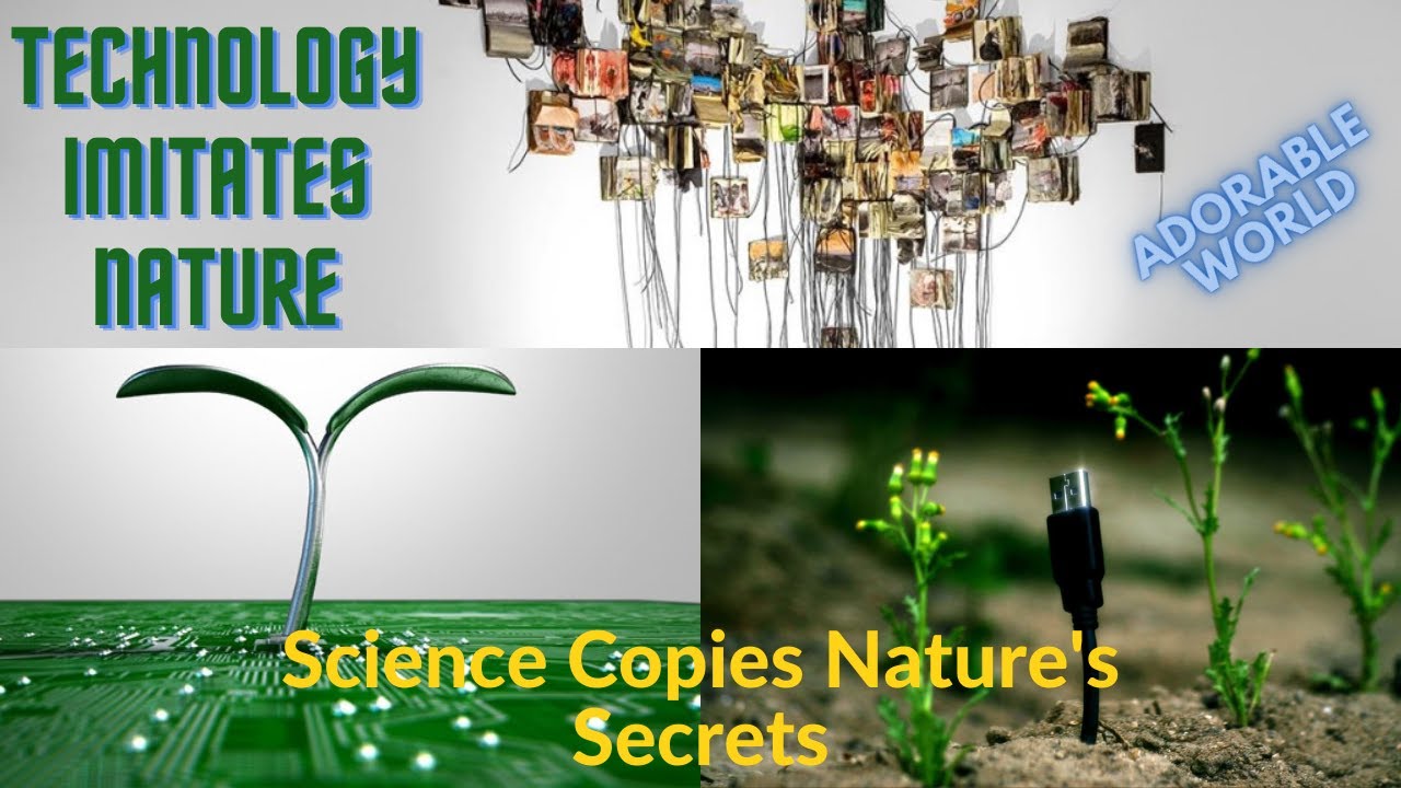 Technology Imitates Nature | Biomimicry | Science copies Nature's ...