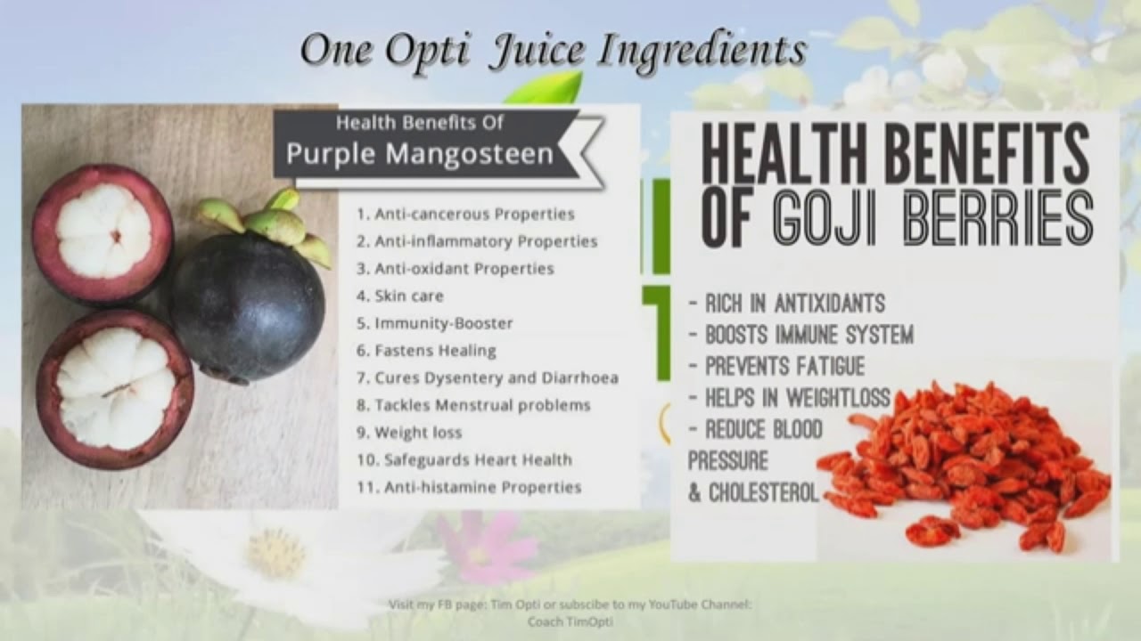 ONE OPTI product and busness presentation by coach TIM - YouTube