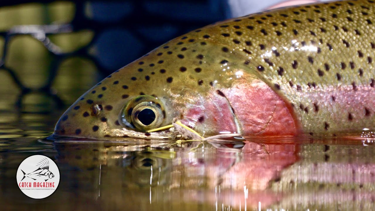 Hopper Season: Fly Fishing for Trout on the Williamson River - YouTube