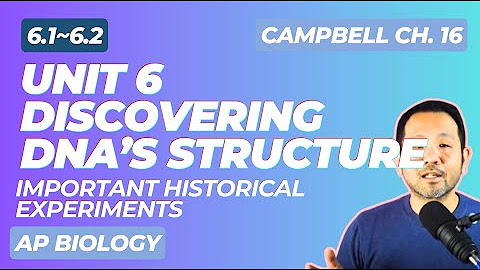 AP Biology Unit 6: Molecular Biology Review Videos - YouTube