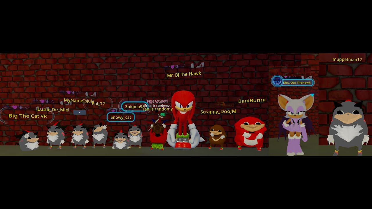 Rouge the Bat, Knuckles & Uganda Shadows? - YouTube