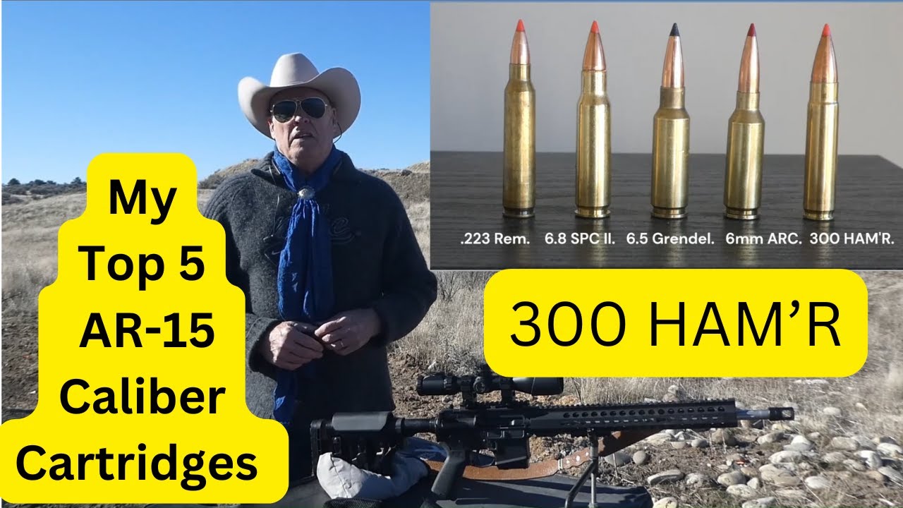 300 HAM'R by Wilson Combat / My 1 of 5 Favorite Cartridges in the AR-15 ...