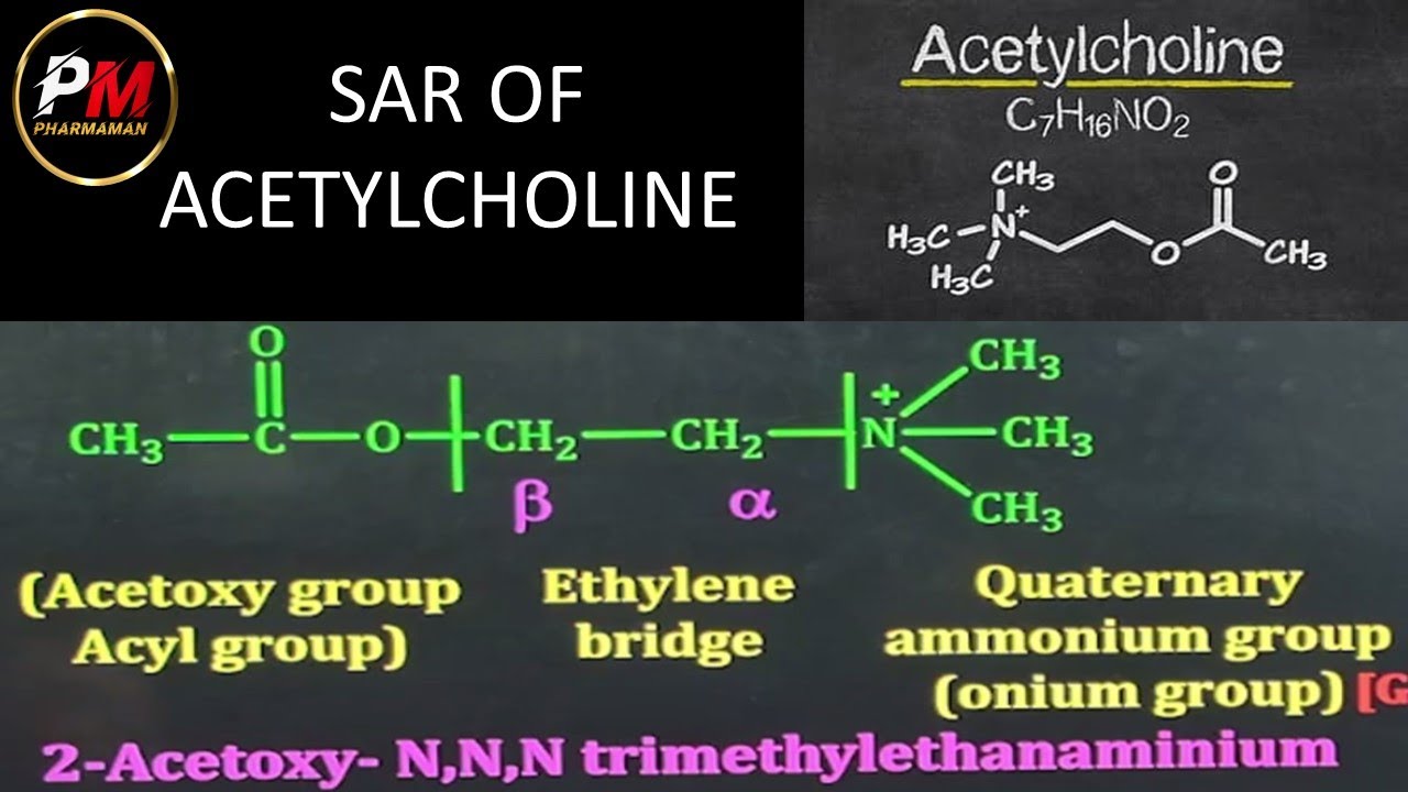 SAR of Acetylcholine || Medicinal Chemistry-1 || Sem-5 || PHARMACY ...
