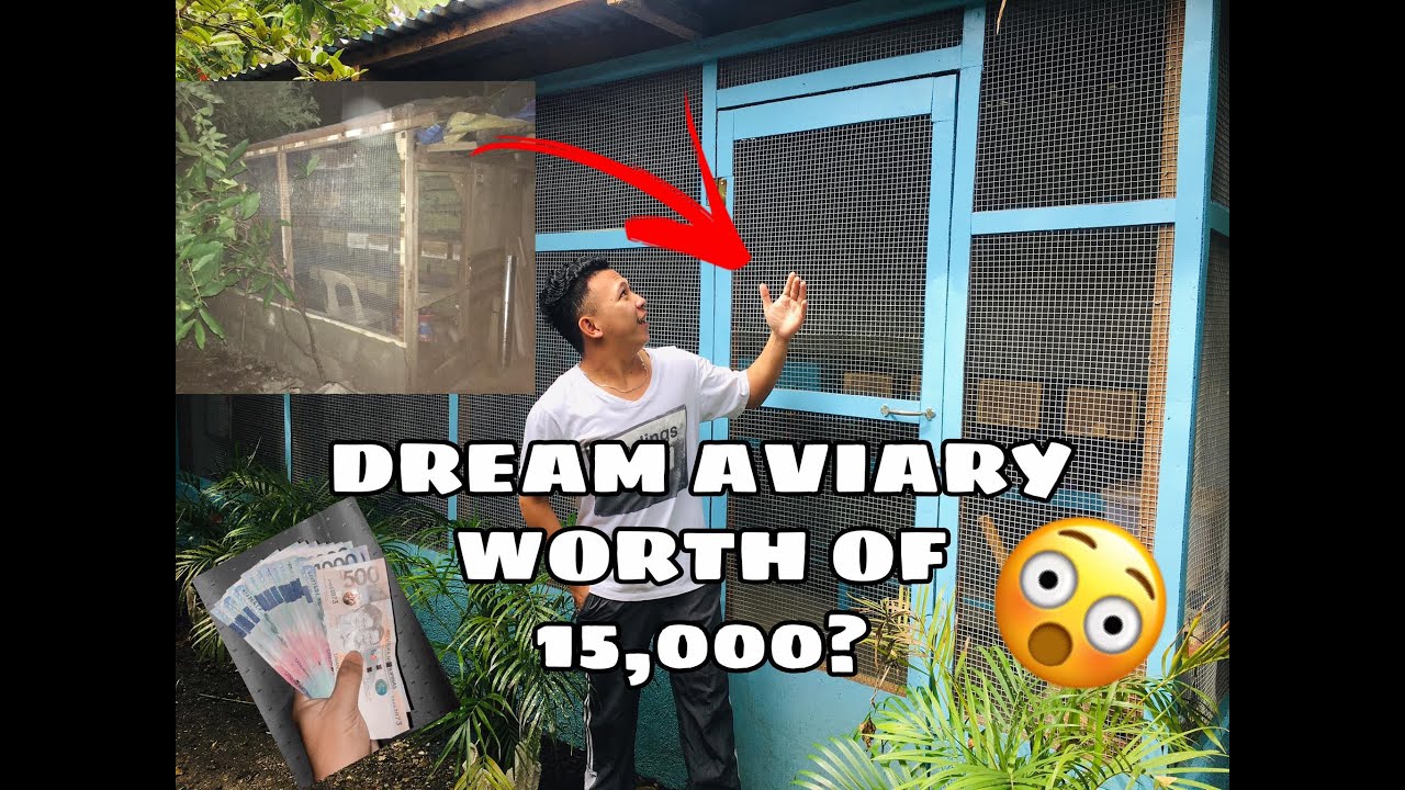 DREAM AVIARY CONSTRUCTION | KFA - YouTube