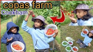 Pick Your Own Adventure: Copas Fruit Farm & Cookham Village Tour 🍏🌟