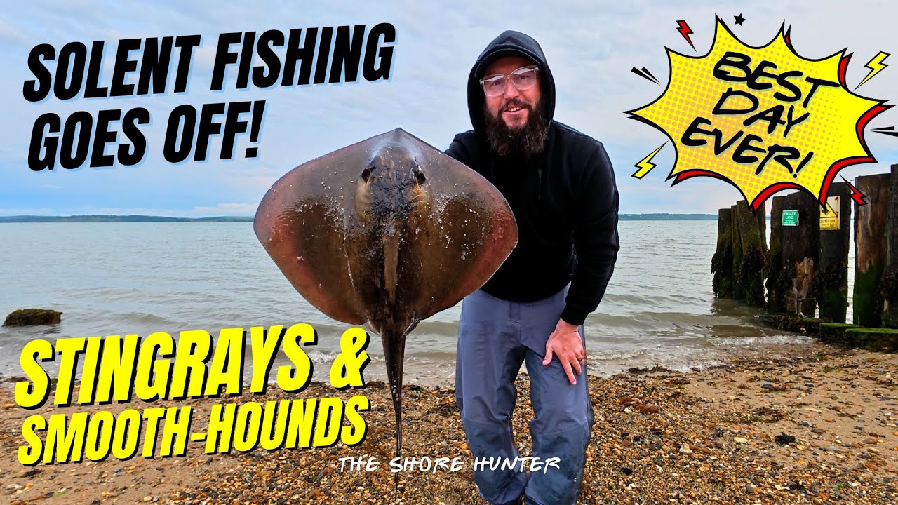 How To Catch Stingrays & Smooth Hounds | Fishing The Solent With Wayne ...
