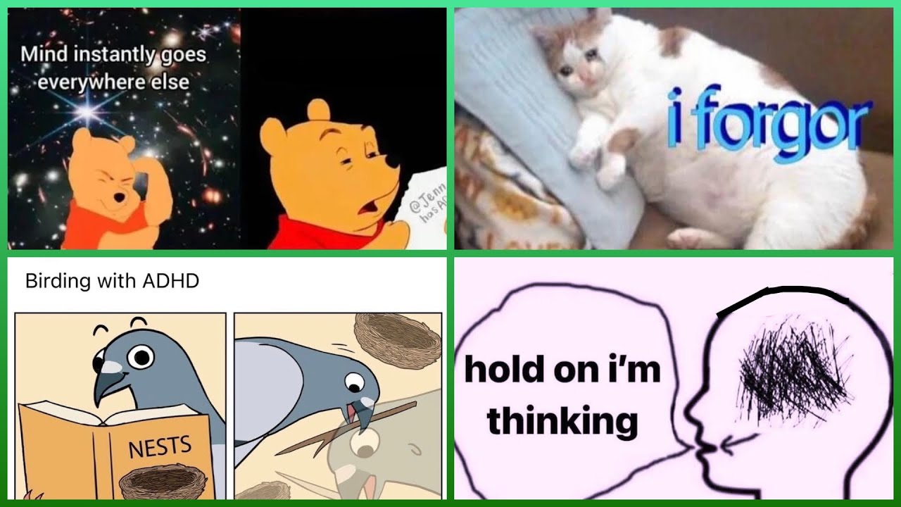 neurodivergent memes - neurodivergent brains be like - YouTube
